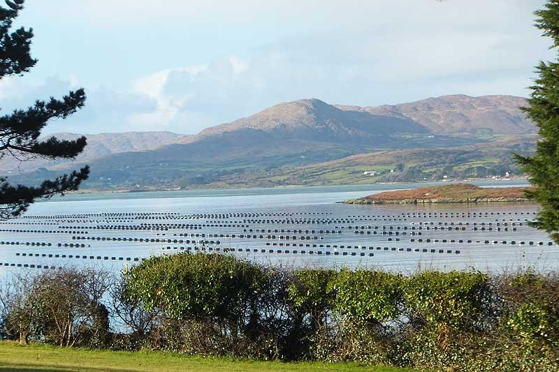 Blairscove House | 5-Star Self-Catering Bantry - Fivestar.ie