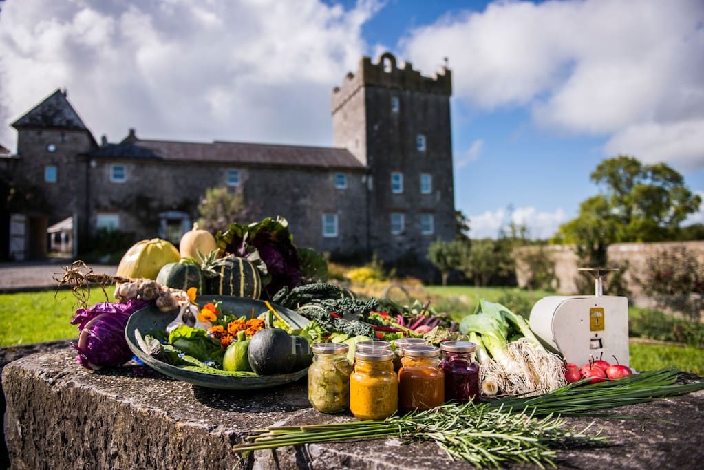 Springfield Castle | 5-Star Self-Catering Drumcollogher - Fivestar.ie