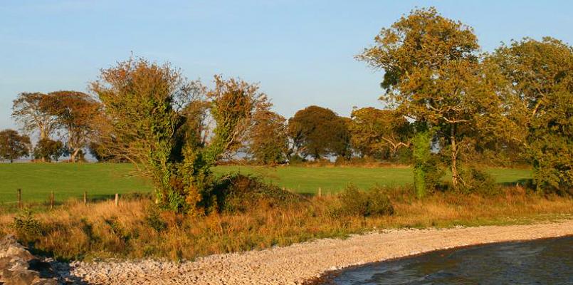 Lake Lodge | 5-Star Self-Catering Mullingar - Fivestar.ie