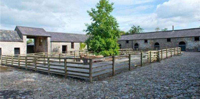 Luxury Houses for Sale Carbury, Co. Kildare | Ballindoolin House ...