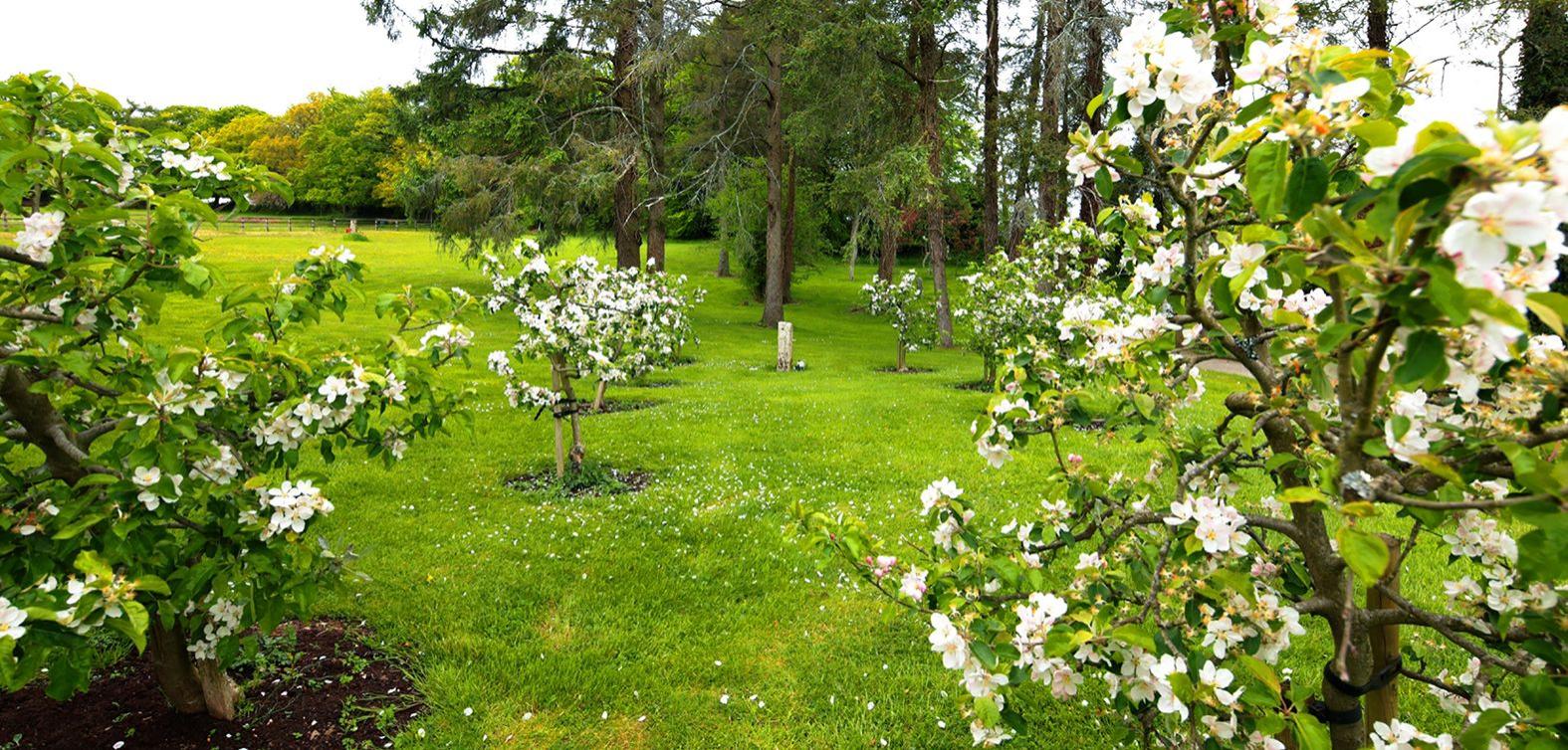 Dining at Monart | Five Star Restaurant Enniscorthy - Fivestar.ie